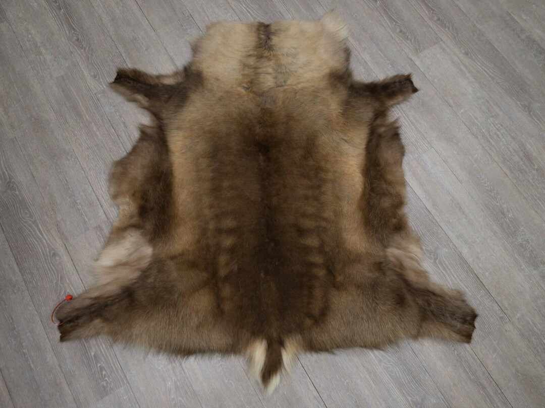 Reindeer Hide From Finland: 2 Quality 33-2-G3046 Unit 8 - Etsy