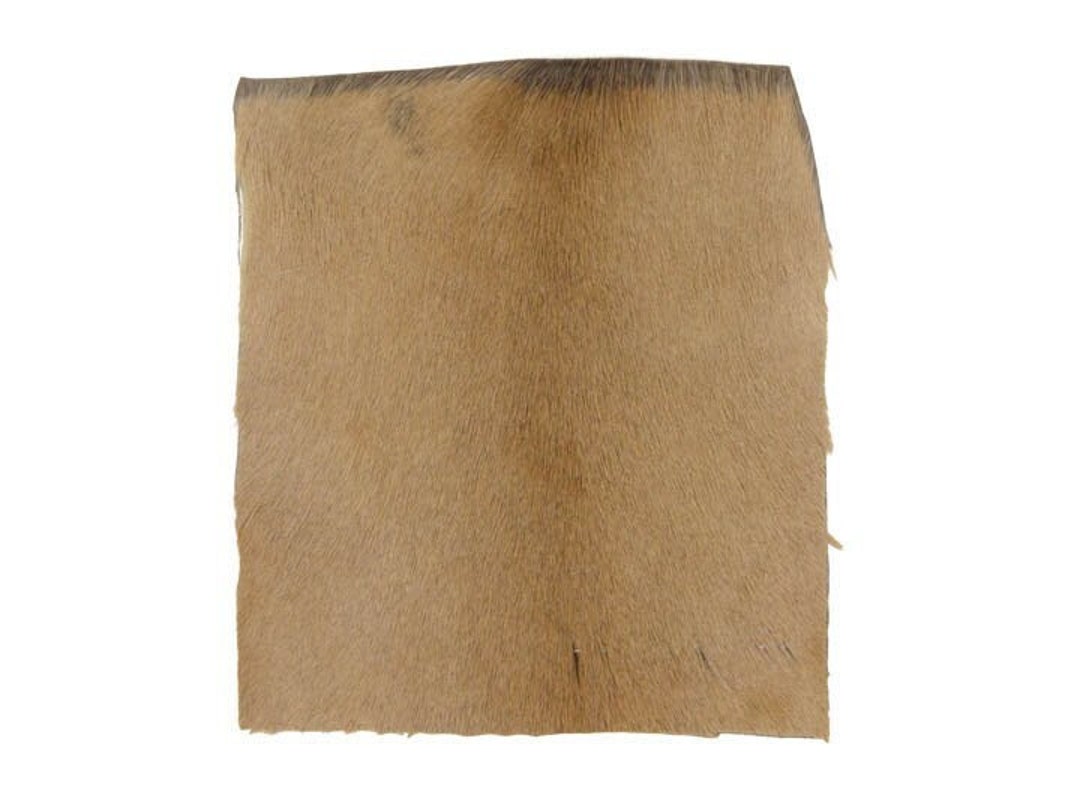Natural Springbok Skin 8x9 Project Piece - Etsy