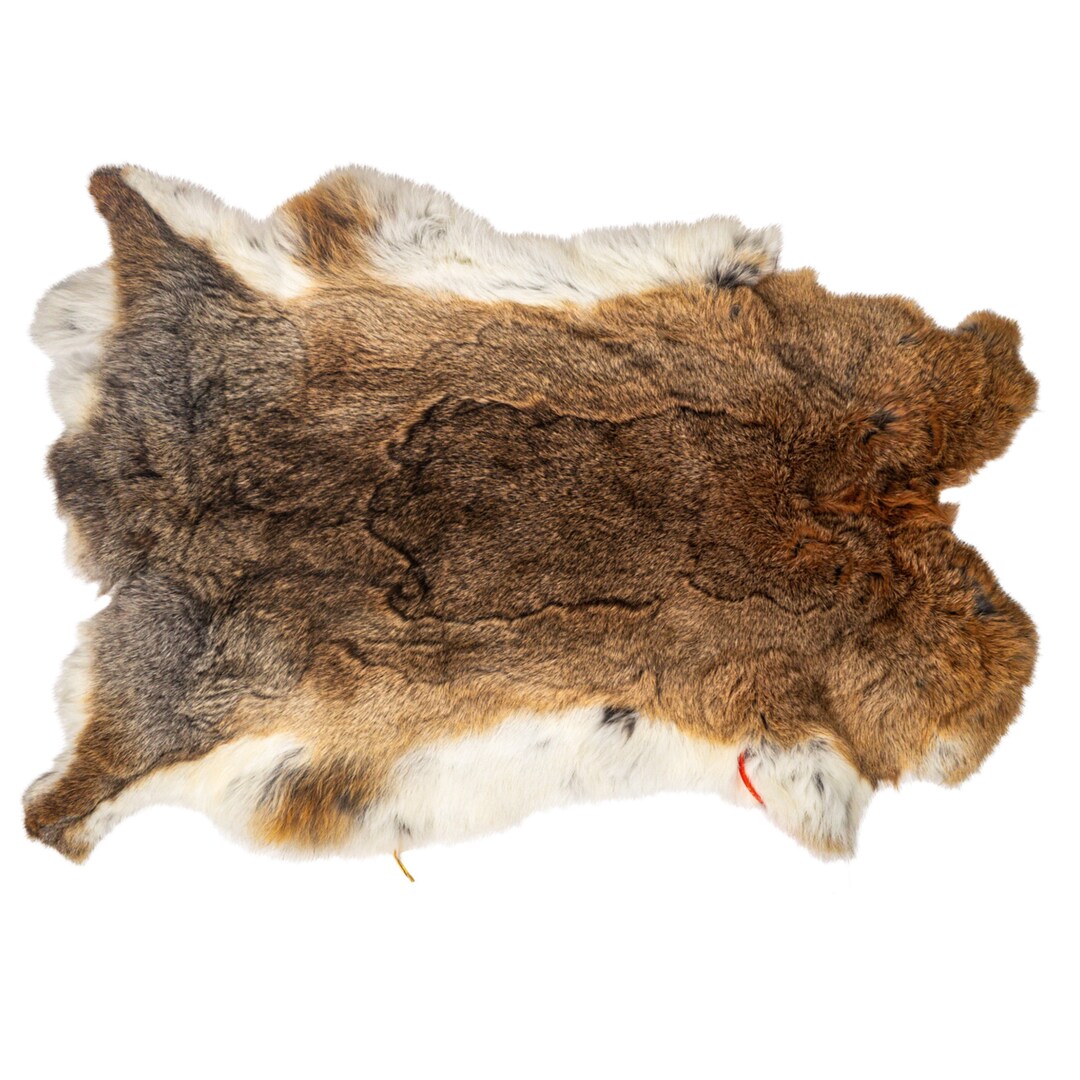 Hungarian Jumbo Rabbit Skin Bunny Brown: First Grade - Etsy