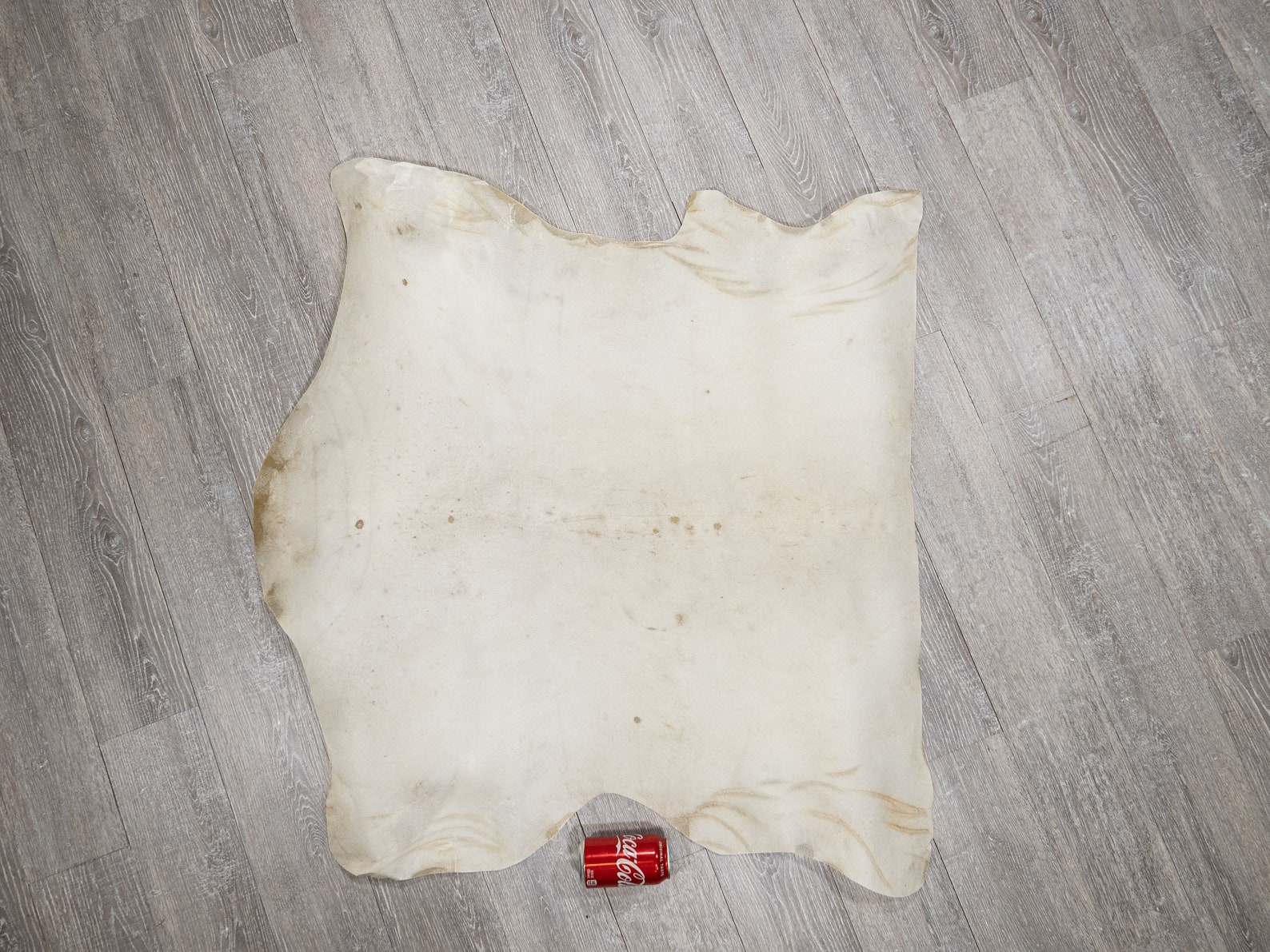 Extra-large Bleached Goat Rawhide Skin 55-50XB-AS L8 - Etsy