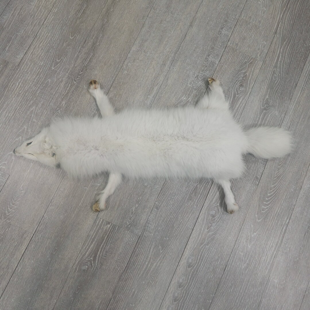 Arctic Fox Skin With Feet (180-02-WF-G4456) Y2K - Etsy
