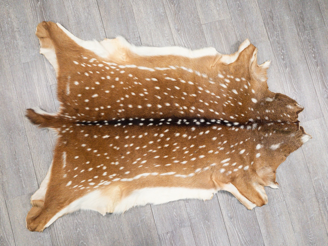 Axis Deer Hide Upholstery Grade: Large (488-UPL-G6210) Y1H - Etsy