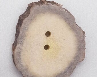 Clam Shell Button 1 in Various Lot Sizes 491-1.0 M3 - Etsy