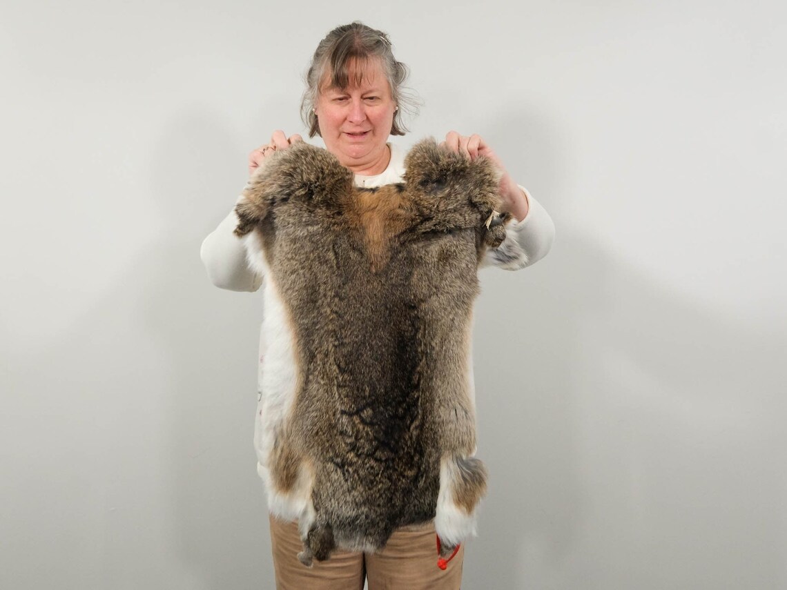 Hungarian Jumbo Rabbit Skin Bunny Brown First Grade - Etsy