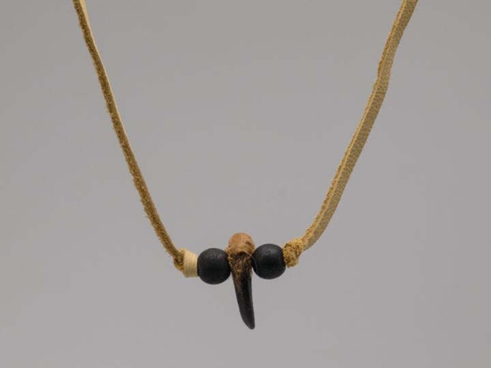 Real Iroquois Coyote Claw Necklace: 1-claw 368-601 C1 | Etsy