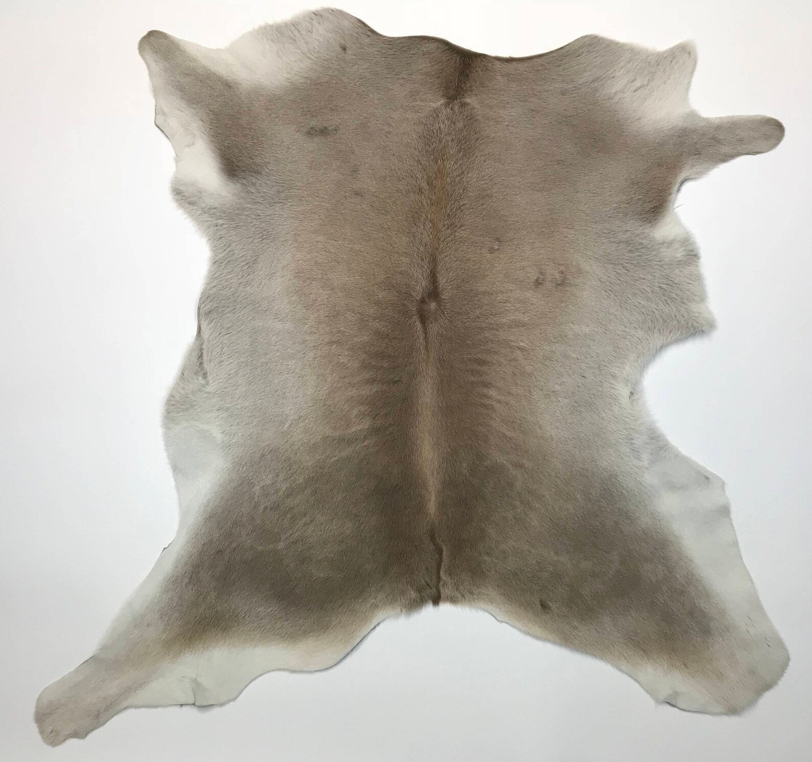 Chrome-tanned Long Hair-on Calf Skin 62-00-G1735 K21 - Etsy