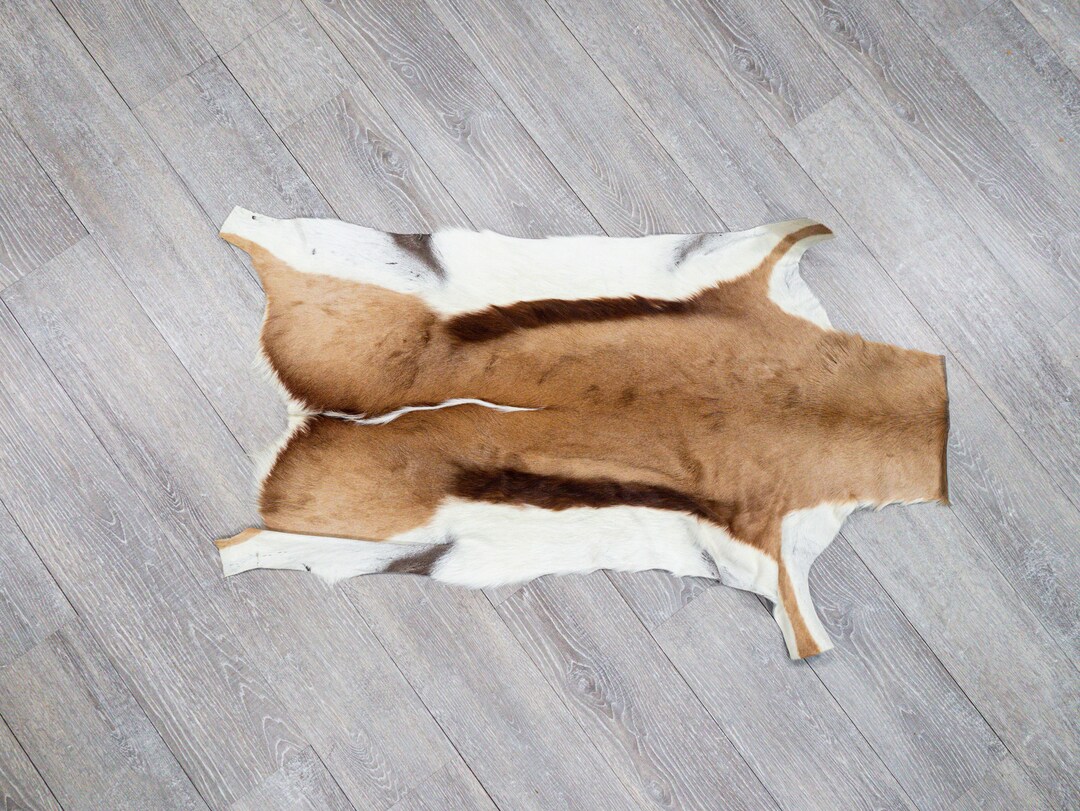 Springbok #2A Grade Skin (155-2A-G4884) Y1E - Etsy