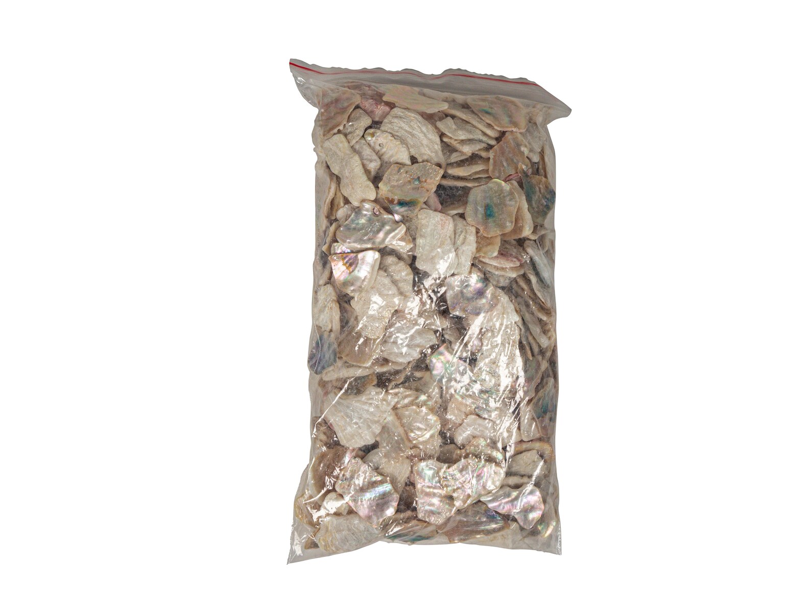 Creamy White African Abalone Shell Pieces: 25mm Size. 1-kg Bag - Etsy