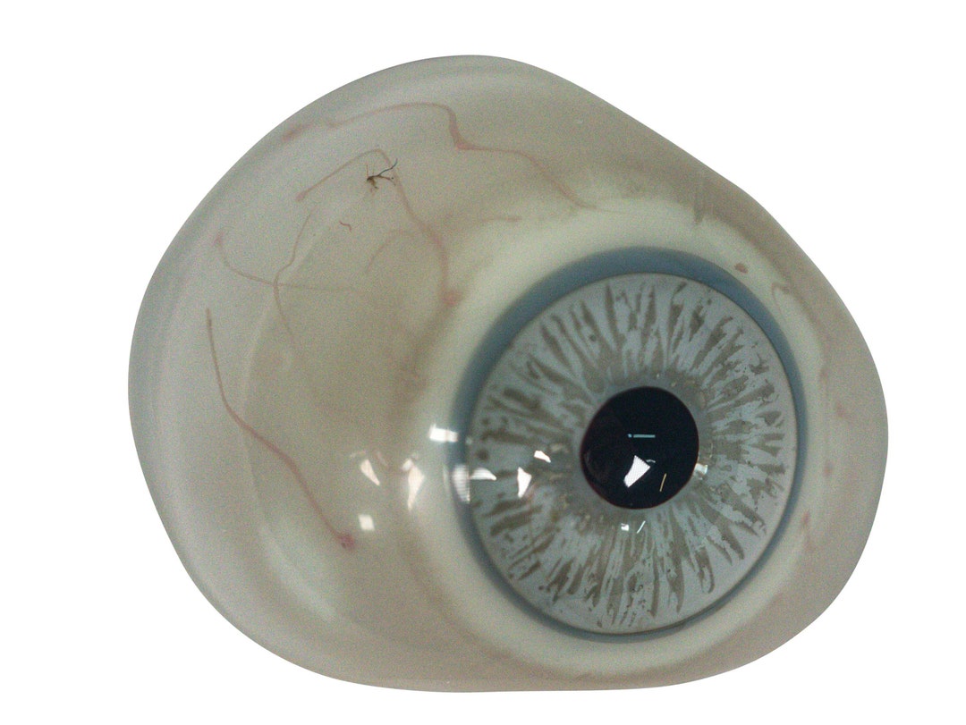 Antique Prosthetic Glass Eye (1095-G05) - Etsy
