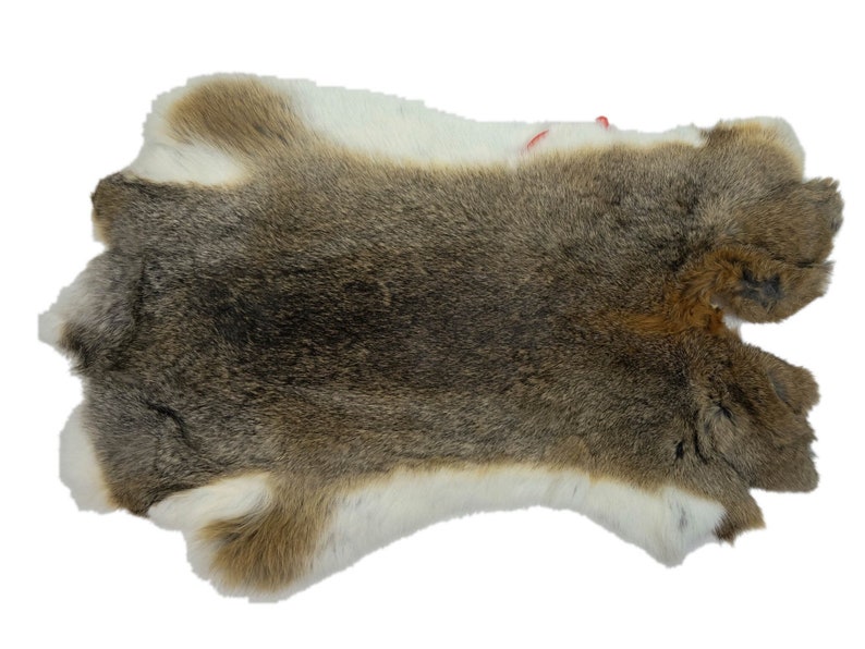 Hungarian Jumbo Rabbit Skin Bunny Brown First Grade - Etsy