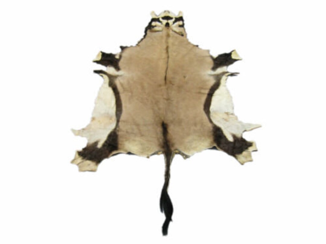 African Gemsbok Antelope Skin From Namibia AGS06-G01EW L19 - Etsy