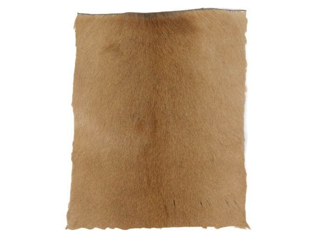 Natural Springbok Skin 8x10 Project Piece - Etsy