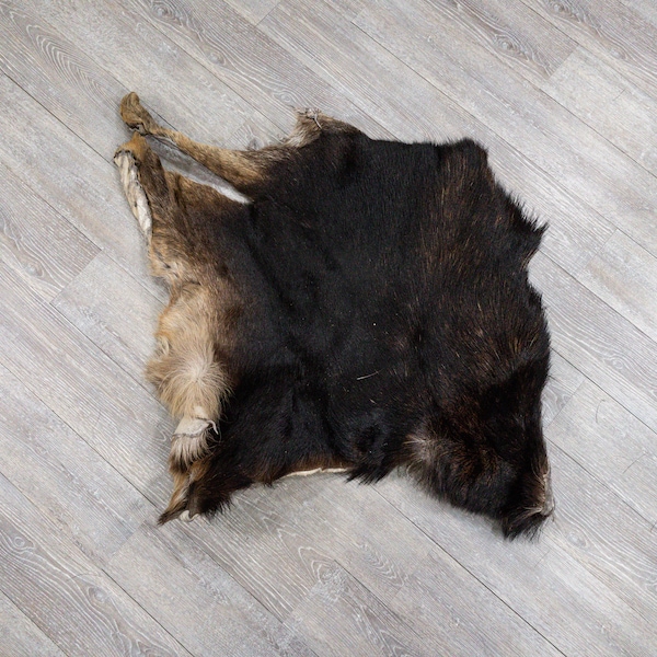 Moose Hide - Etsy
