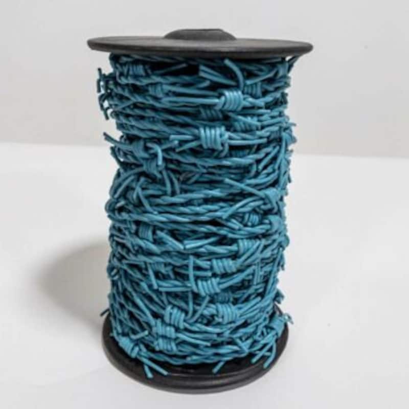 Barbed Wire Jewelry - Etsy