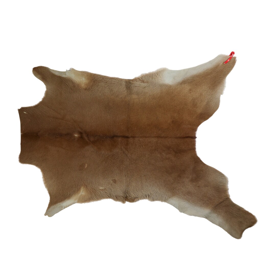 Chrome Tanned Bovine Calf Skin (62-00-G4057) Y2F - Etsy