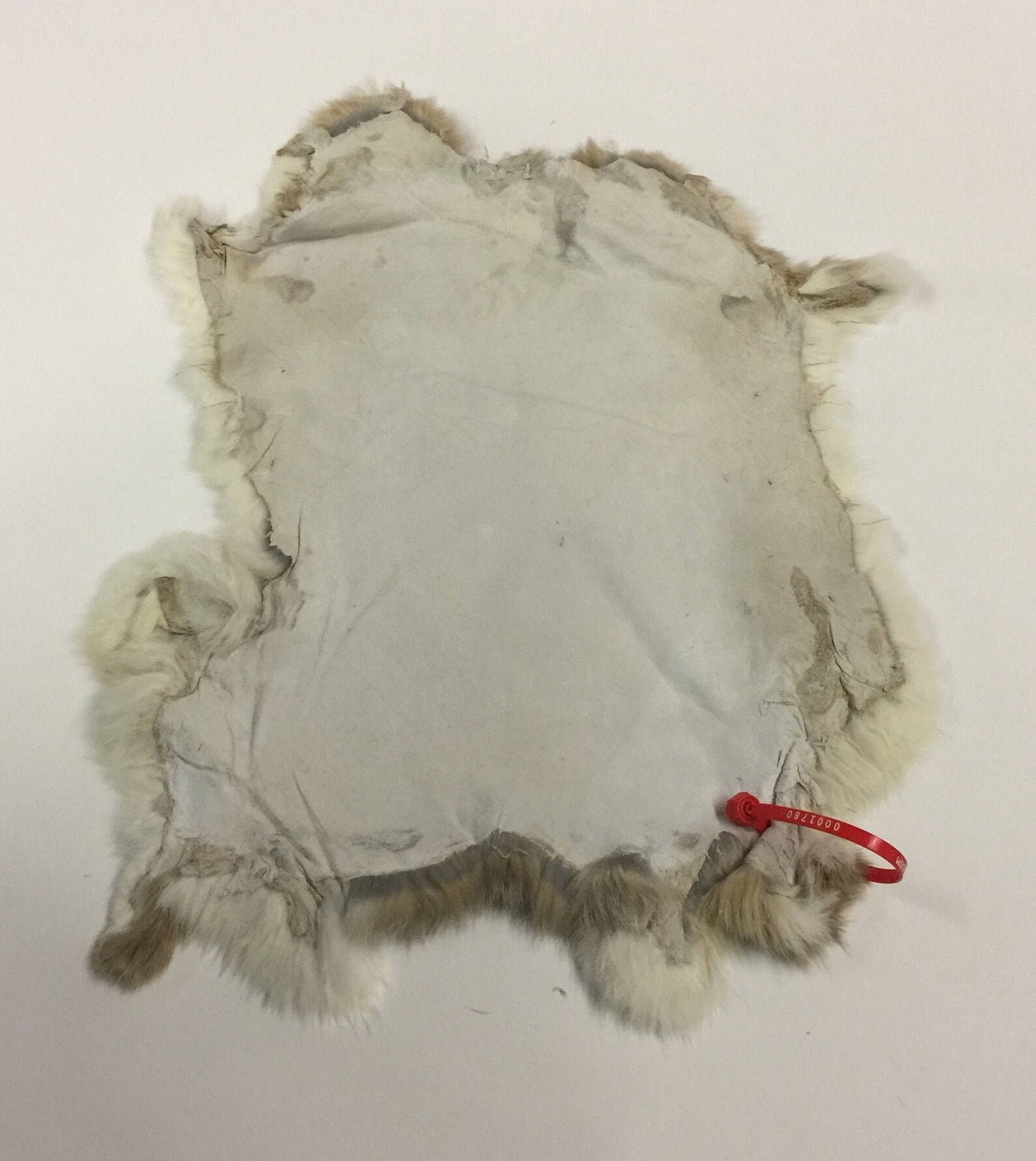 Rabbit Pelt Czech Large: Natural Bunny Brown Color - Etsy