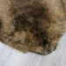 Extra Large Beaver Skin #1/#2 Grade: Gallery (50-1-XL-G3205) - Etsy