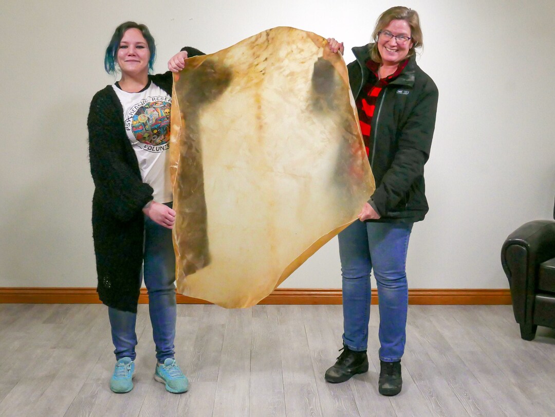 45 - 47" Bovine Cow Rawhide Disc Drum Cover (55-20-46) Y2J - Etsy