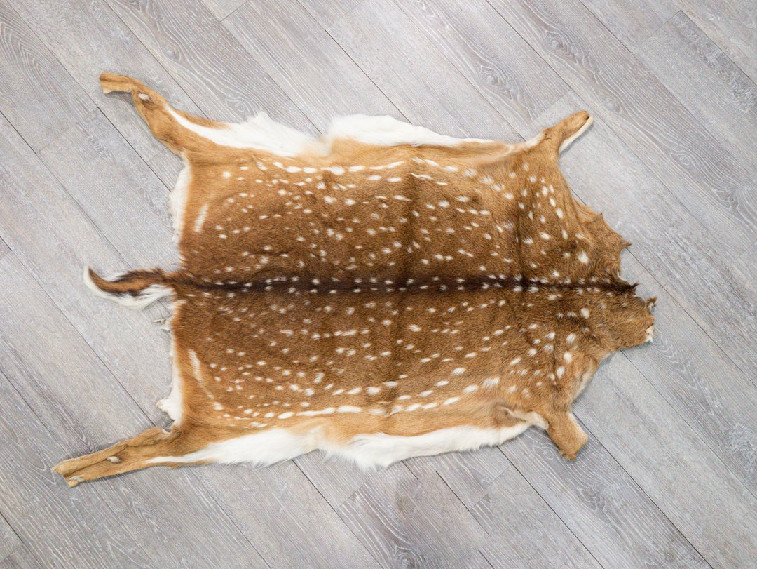 Axis Deer Hide: Medium (488-M-G6214) Y1H - Etsy
