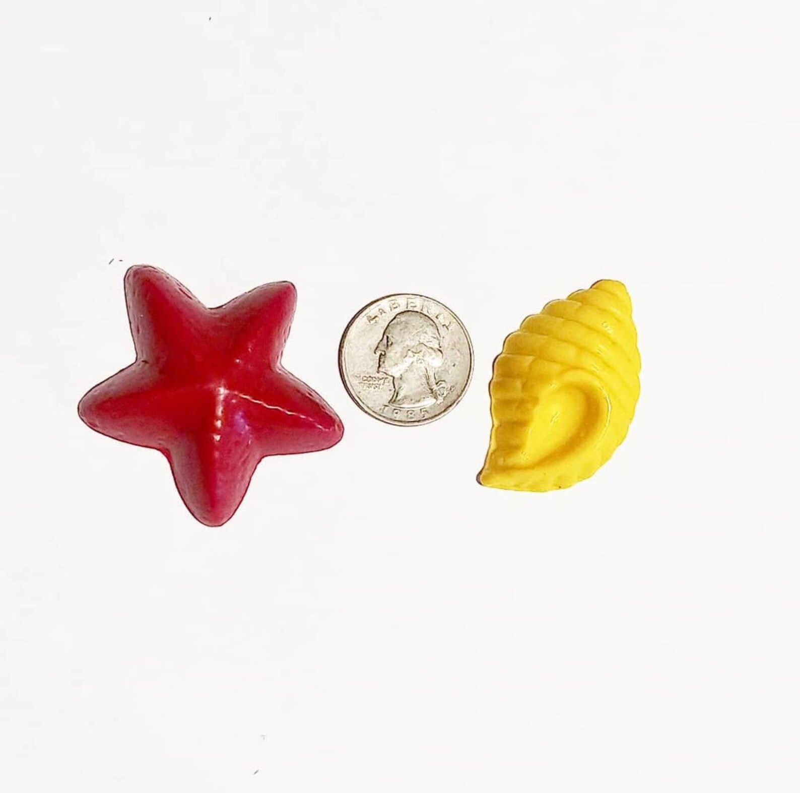 Seashell Crayons Beach Party Mermaid Party Princess Party - Etsy