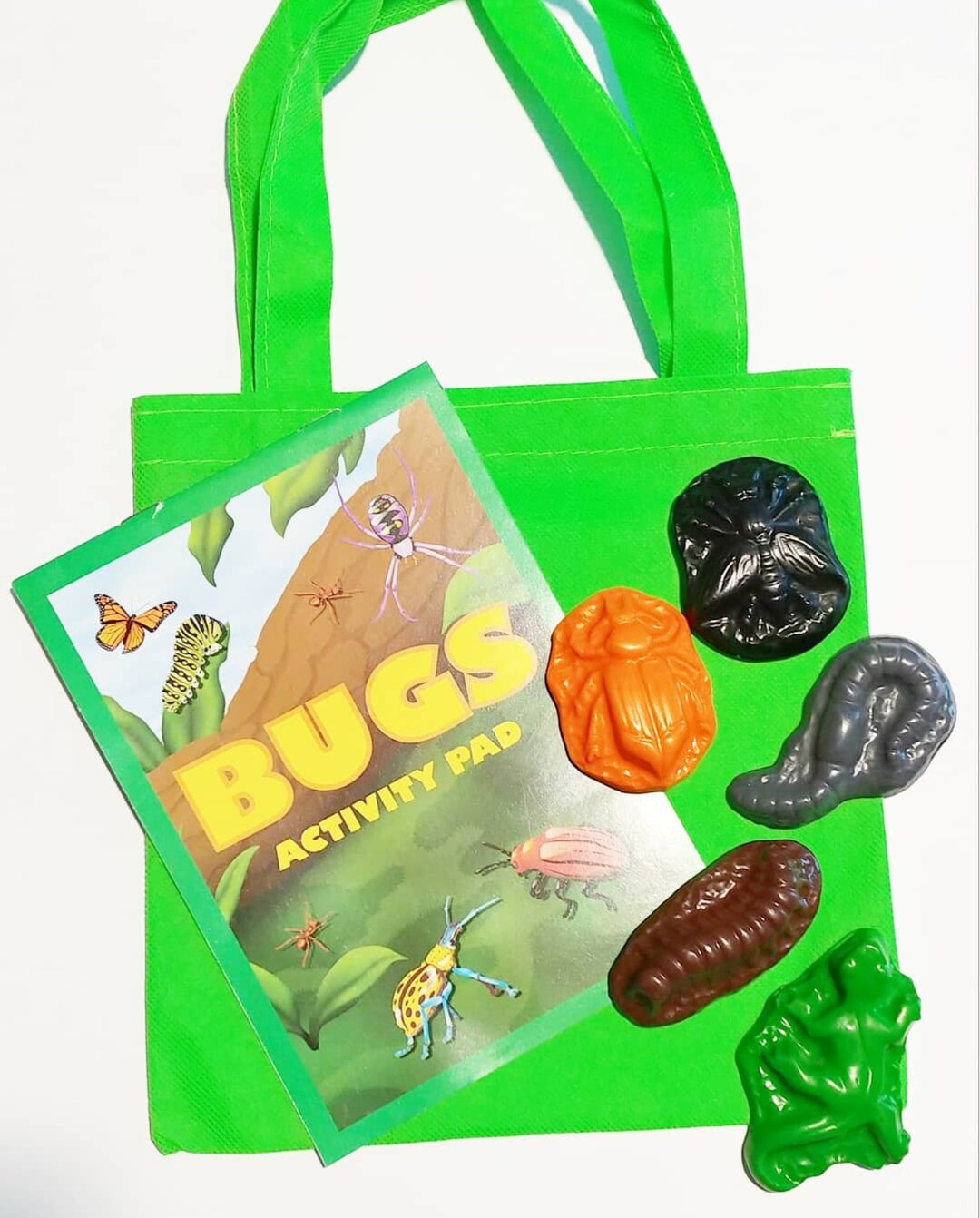 Bug Crayons, Activity Pad, Reusable, Worm Crayons, Fly, Centipede, Gift ...