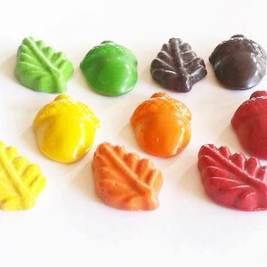 Leaf Crayons, Fall, Fall Colors, Leaves, Acorns, Fall Party, Halloween ...