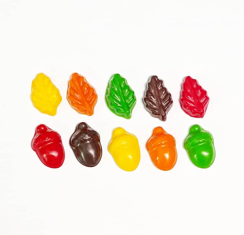 Leaf Crayons Fall Fall Colors Leaves Acorns Fall Party - Etsy