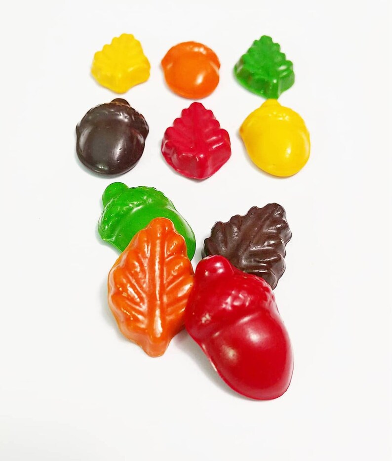 Leaf Crayons Fall Fall Colors Leaves Acorns Fall Party - Etsy