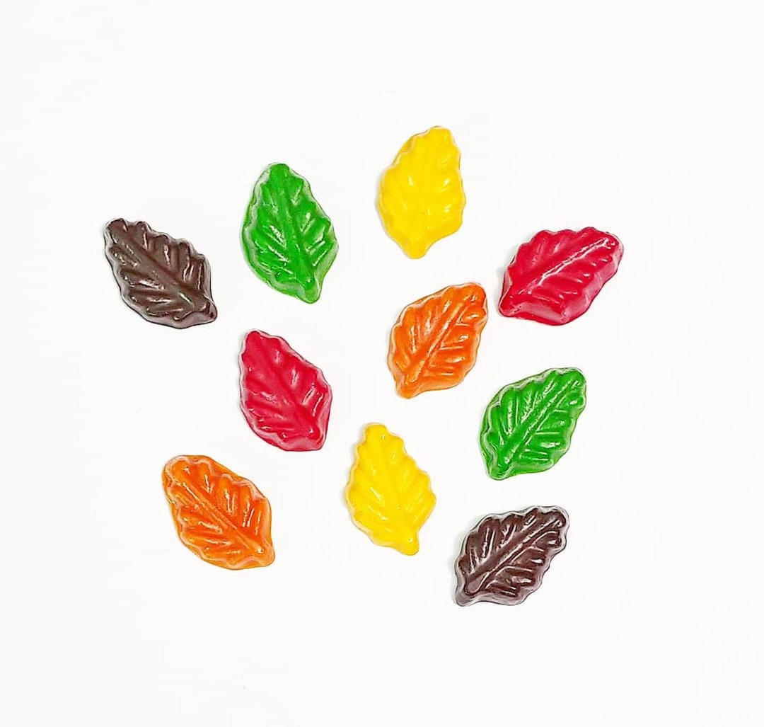 Fall Leaf Crayons: Autumn Colors, Party Favors (set of 10) - Etsy