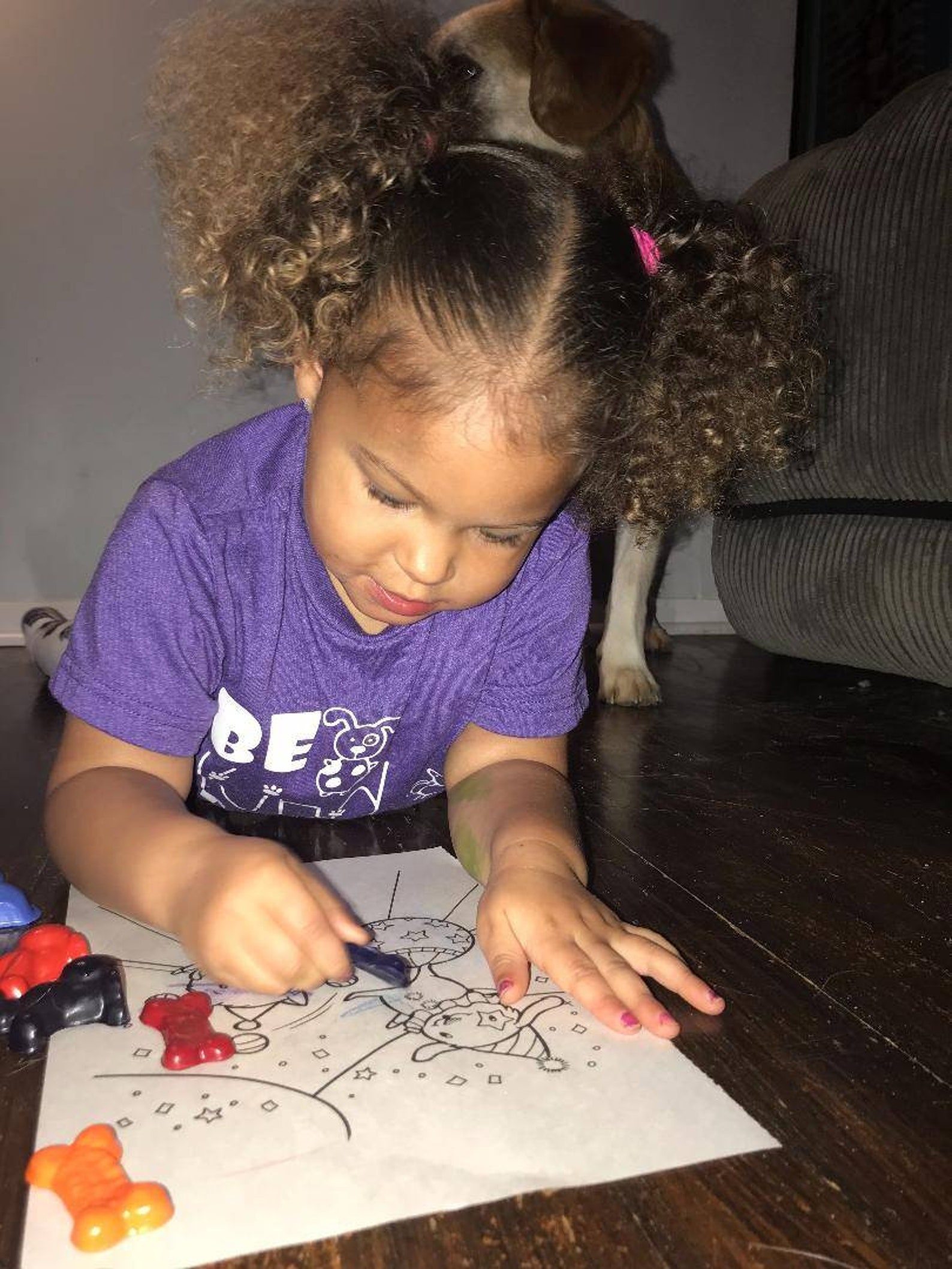 Dog Crayons Dog Bone Crayons Puppy Crayons Puppy Party Paw - Etsy