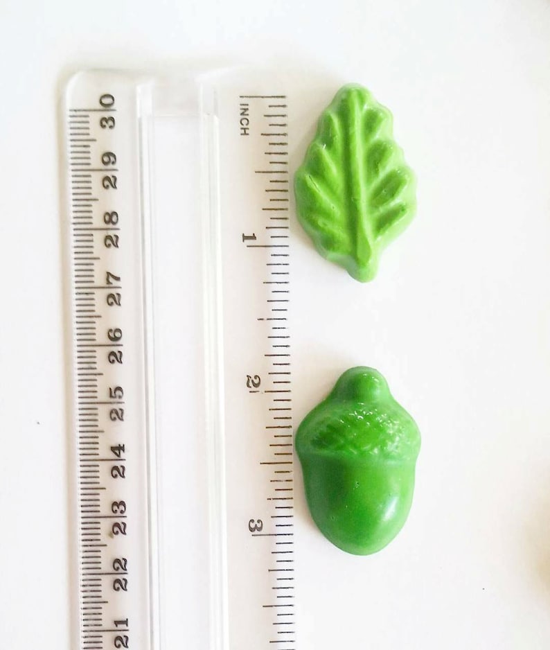 Leaf Crayons Fall Fall Colors Leaves Acorns Fall Party - Etsy