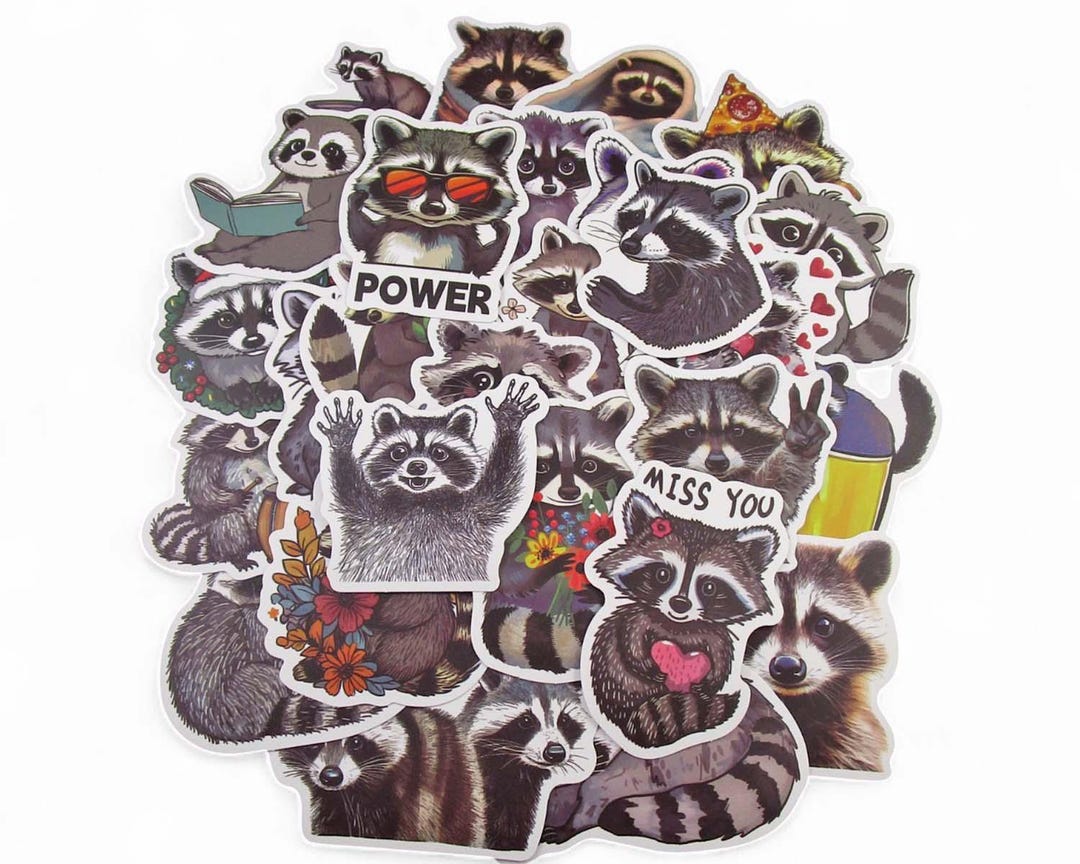 50pc Racoons Sticker Pack - Journal Stickers, Party Supplies, Laptop ...