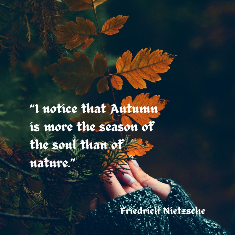 Autumn Instagram Post Templates for Canva, Fall Instagram Posts ...