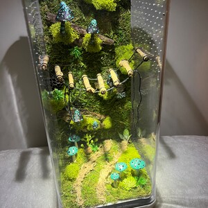 6.5x13” EXTRA LARGE LUXURY Adult Jumping Spider Enclosure, Decorated ...