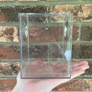 Medium Jumping Spider Enclosure, Habitat Container for Juvenile Jumper ...