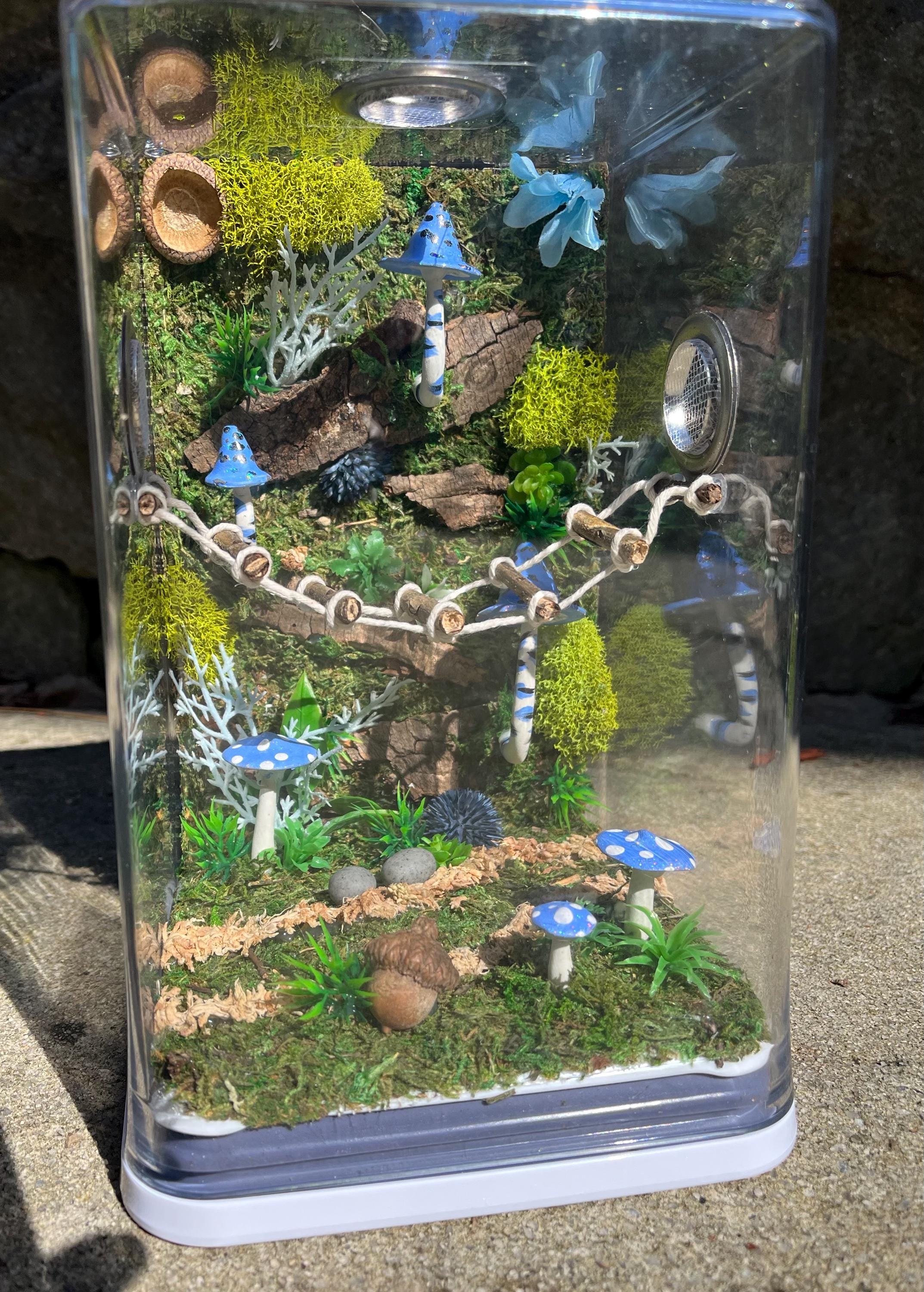 Large 6x6x9.5 Luxury Adult Jumping Spider Enclosure, Decorated Jumper ...