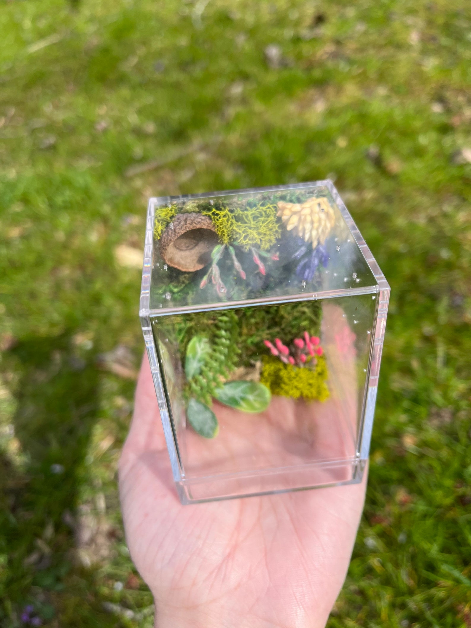 Spring Florals Small Jumping Spider Enclosure, Sling Jumper Container ...