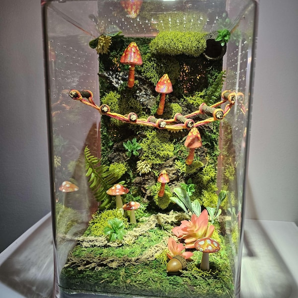 Large Jumping Spider Enclosure - Etsy