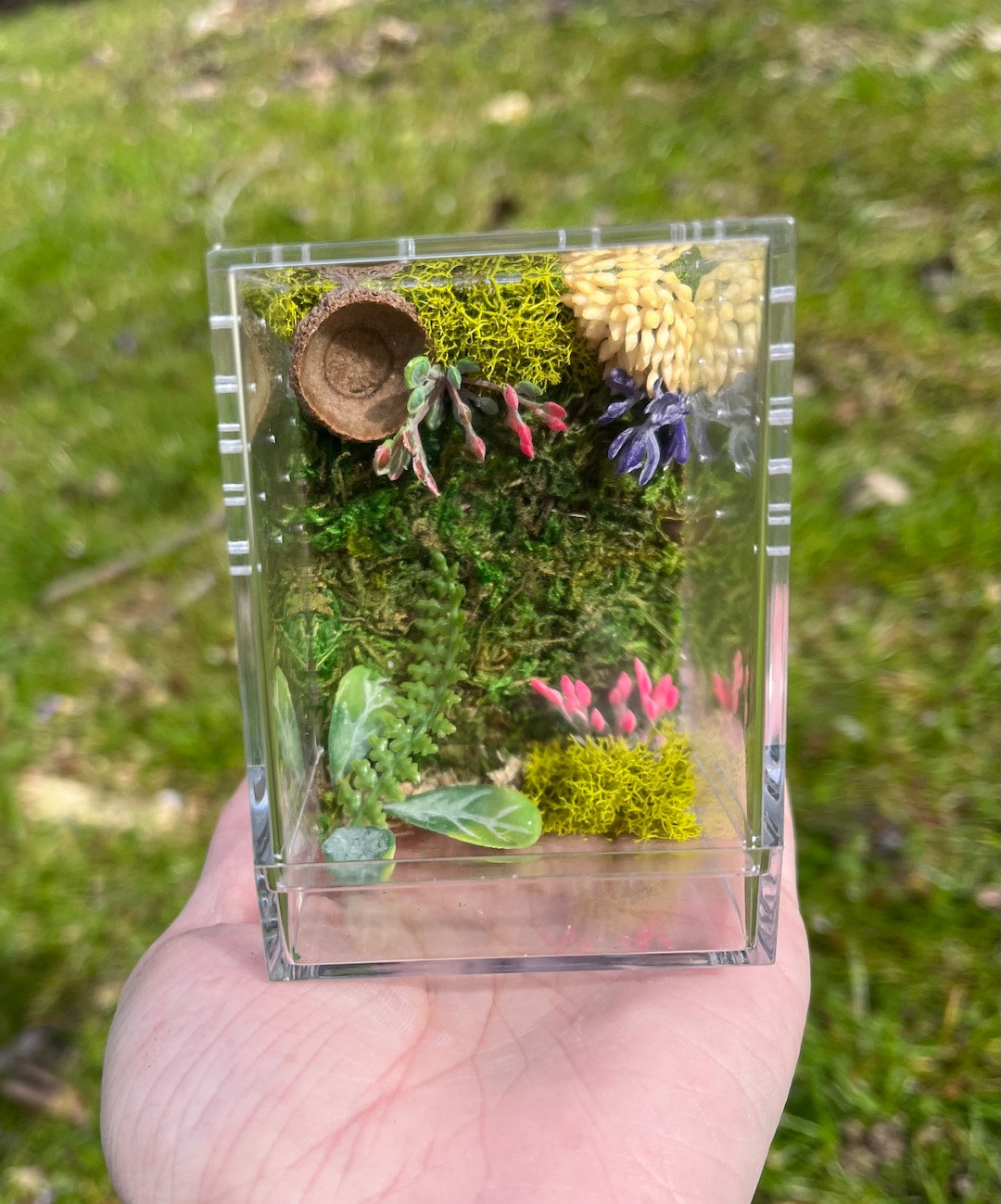 Jumping Spider Enclosure, Spring Floral Small, Sling Jumper Container ...