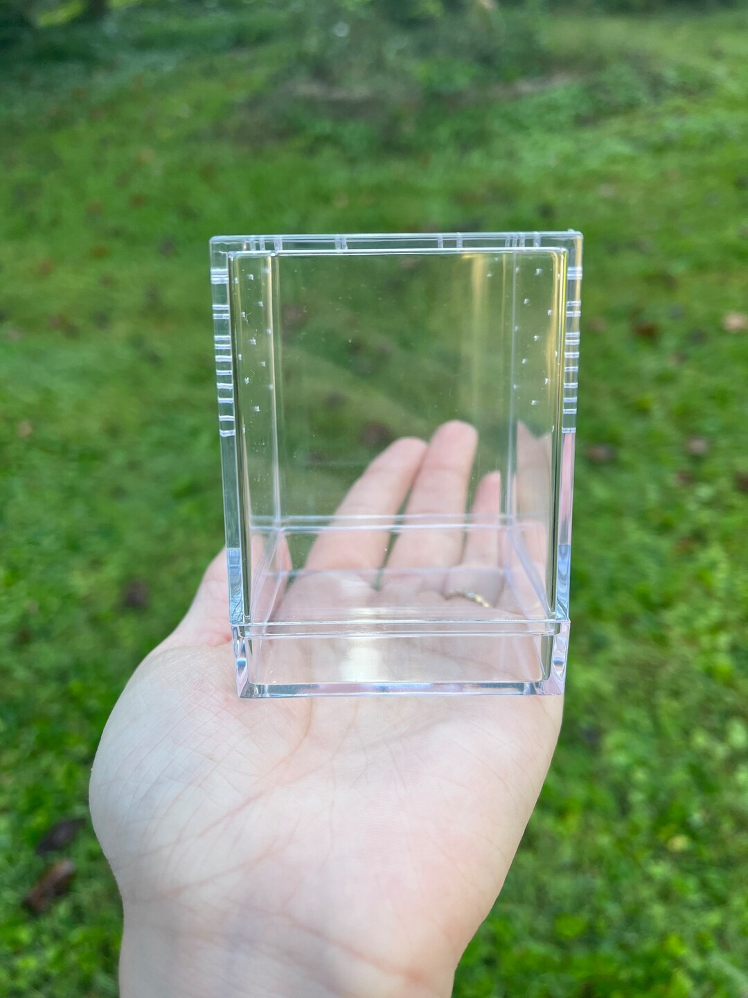 Small Jumping Spider Enclosure, Habitat Container for Sling Jumper - Etsy