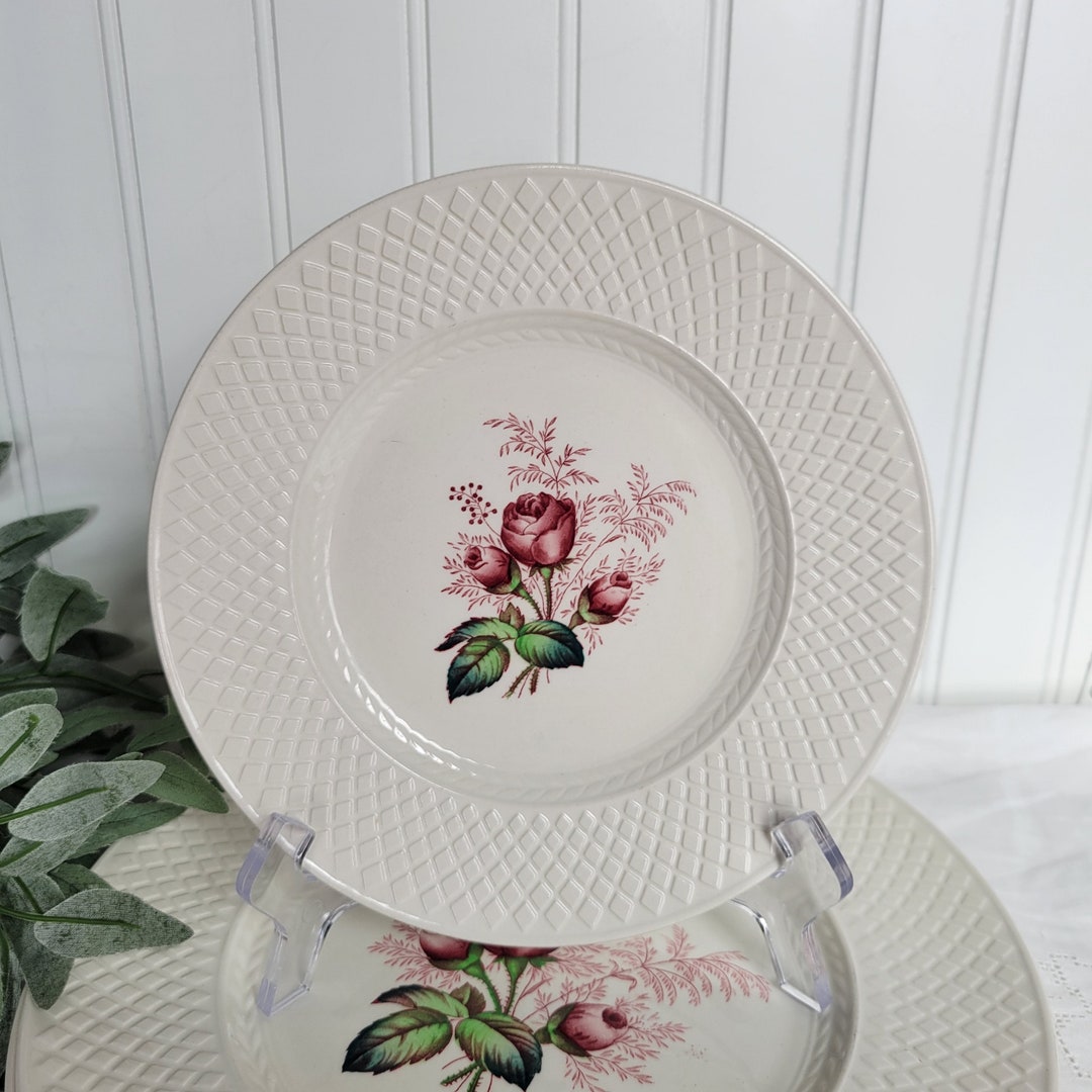 Copeland Spode China Pink Roses Lady Anne Plates Pink Floral - Etsy