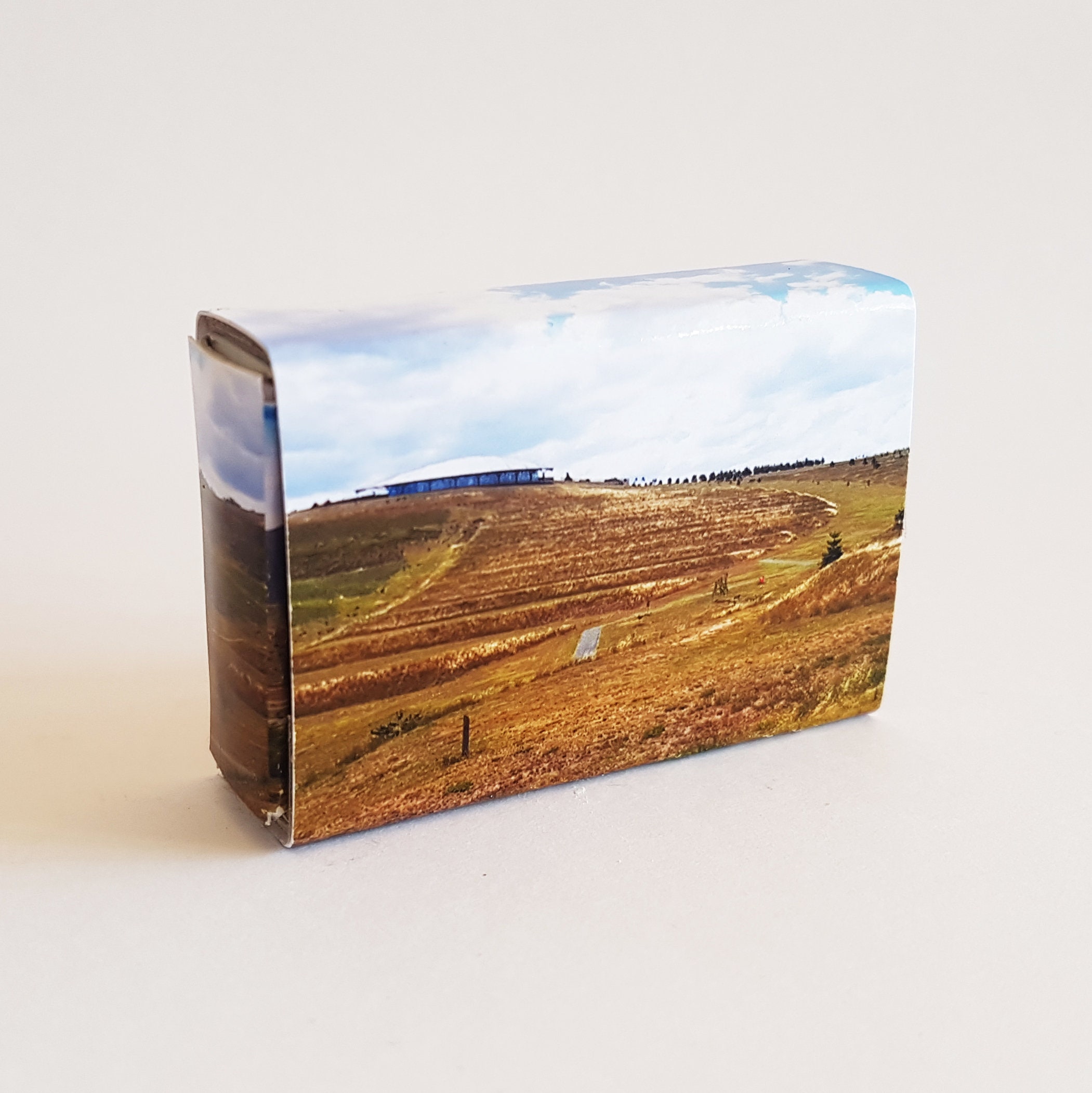 Matchbox Building: Matchbox Miniature of the Arboretum - Etsy