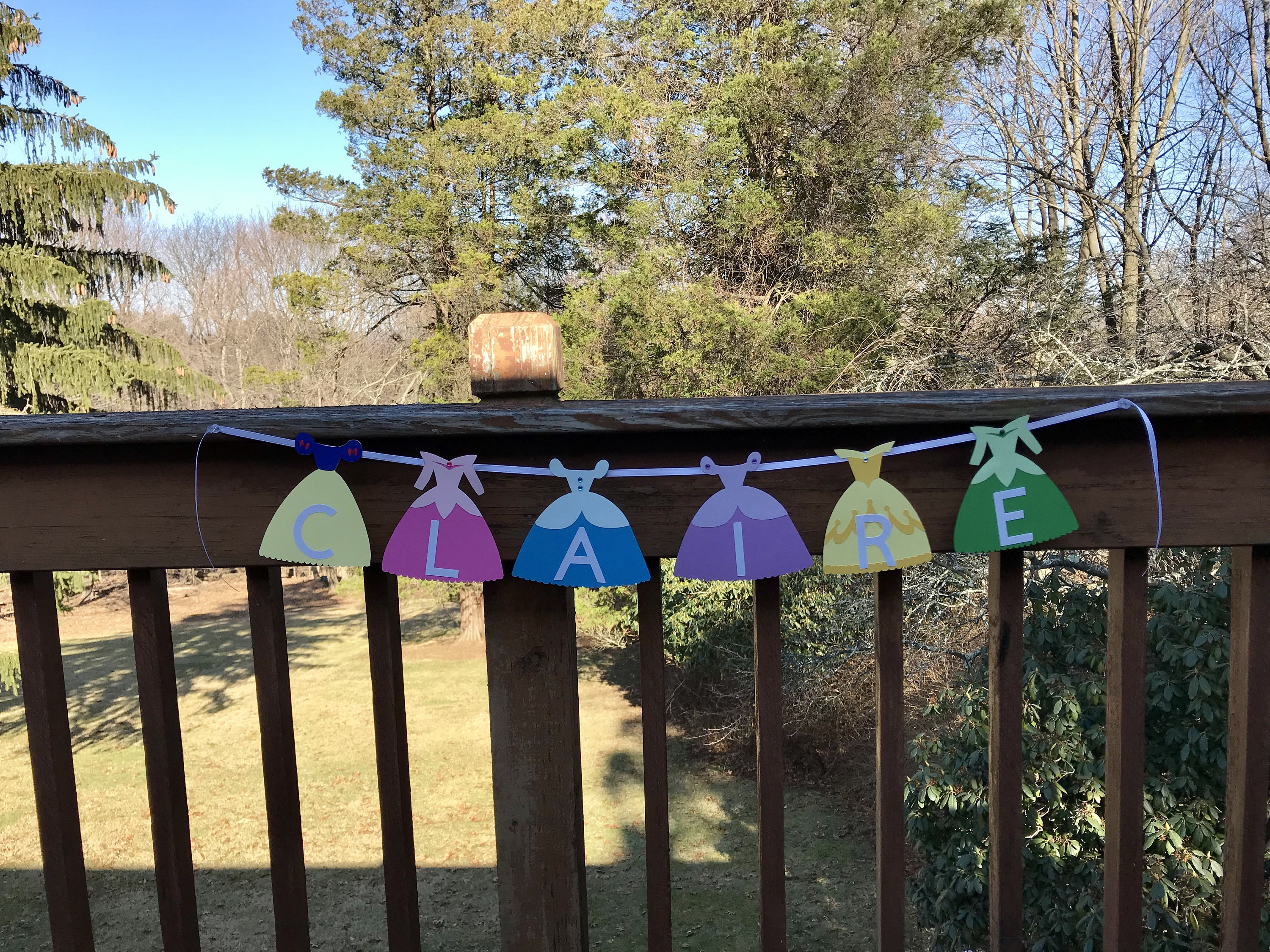 Princess Banner/princess Dress Banner/disney Princess Inspired - Etsy