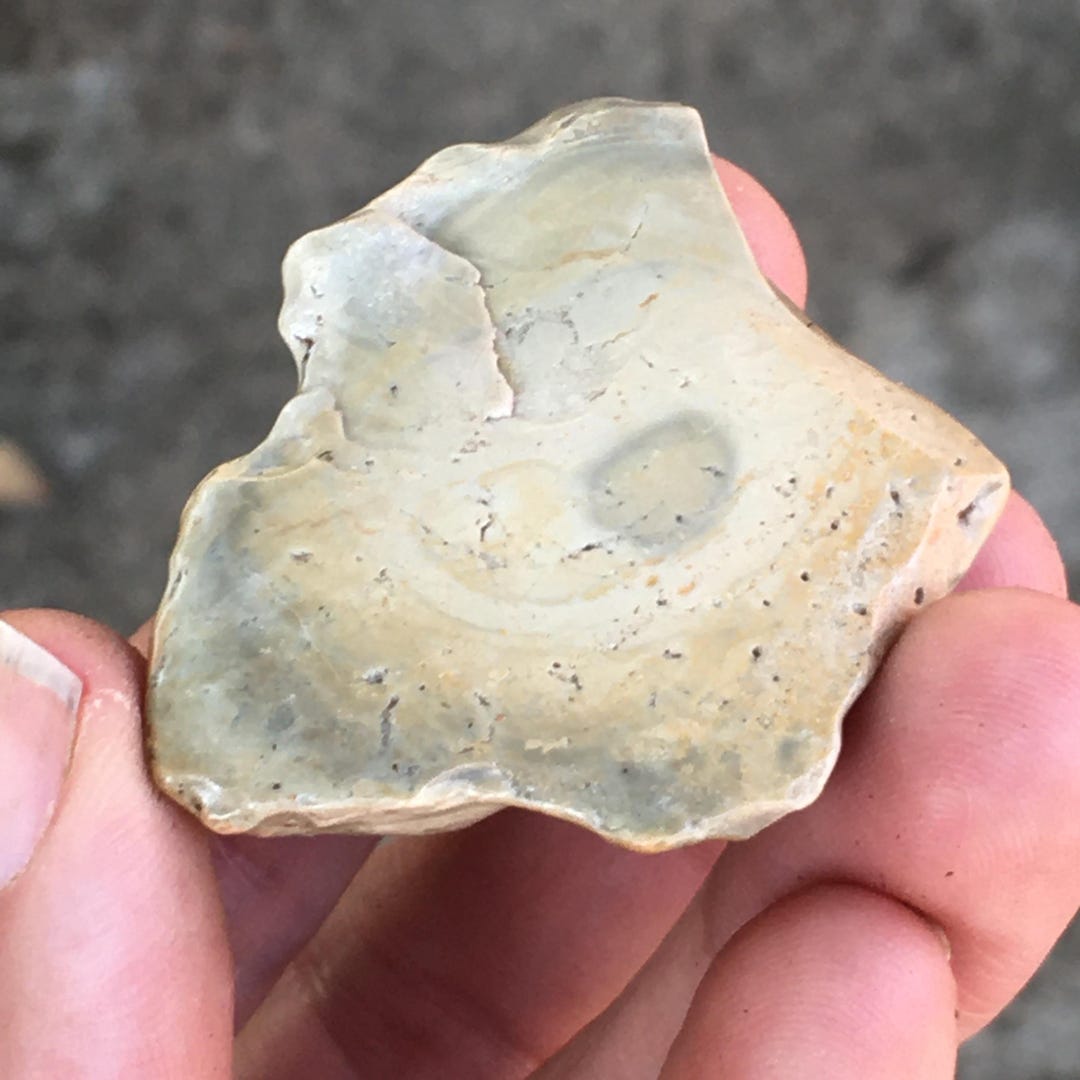 Grey Brown _ Roll _ Gobi Mudstone _gobi Desert Rough Stone AA - Etsy