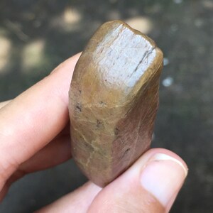 Funny Mud Red Coffee Brown Mudstone With Vein Texture _ Gobi Mudstone ...