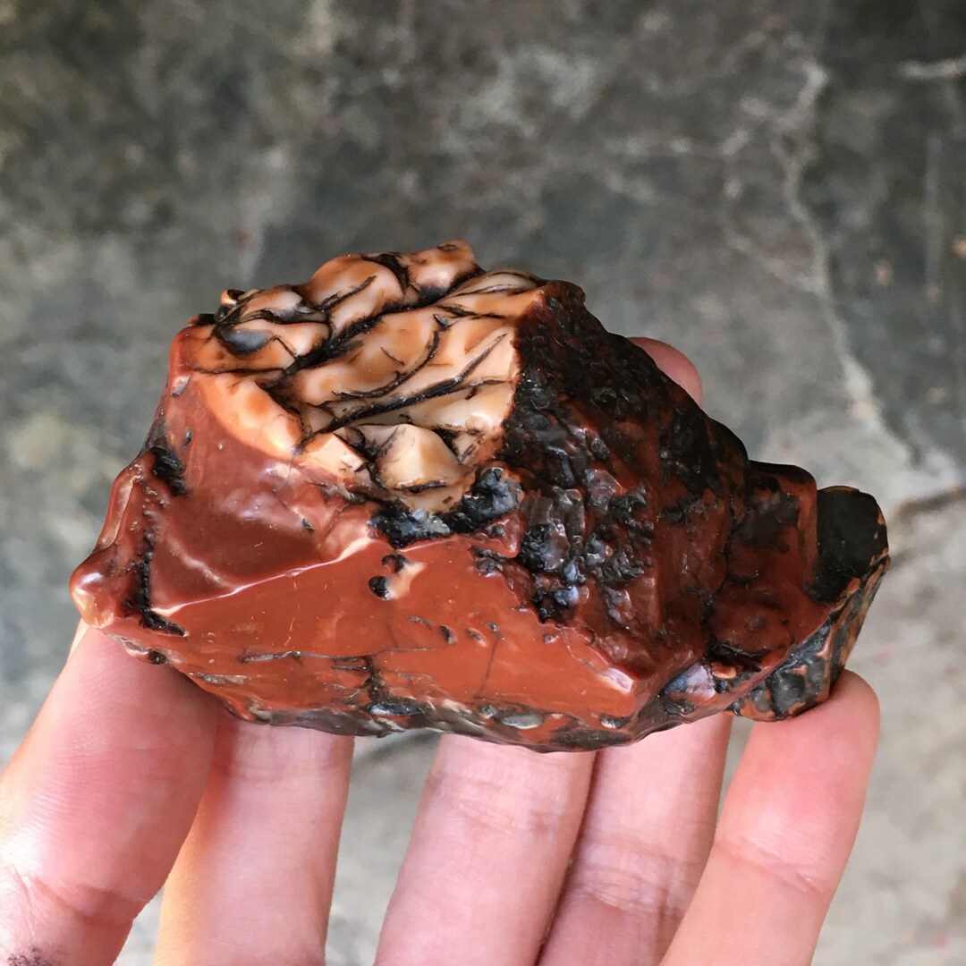 Glossy _ Teeth Stone on Red Mudstone _ Gobi Desert Rough Stone I - Etsy