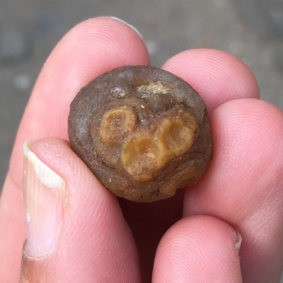 Yellow Gobi Eye Stone With White Dot Pattern _ Gobi Agate _ Gobi Desert ...