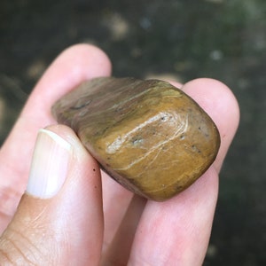 Funny Mud Red Coffee Brown Mudstone With Vein Texture _ Gobi Mudstone ...