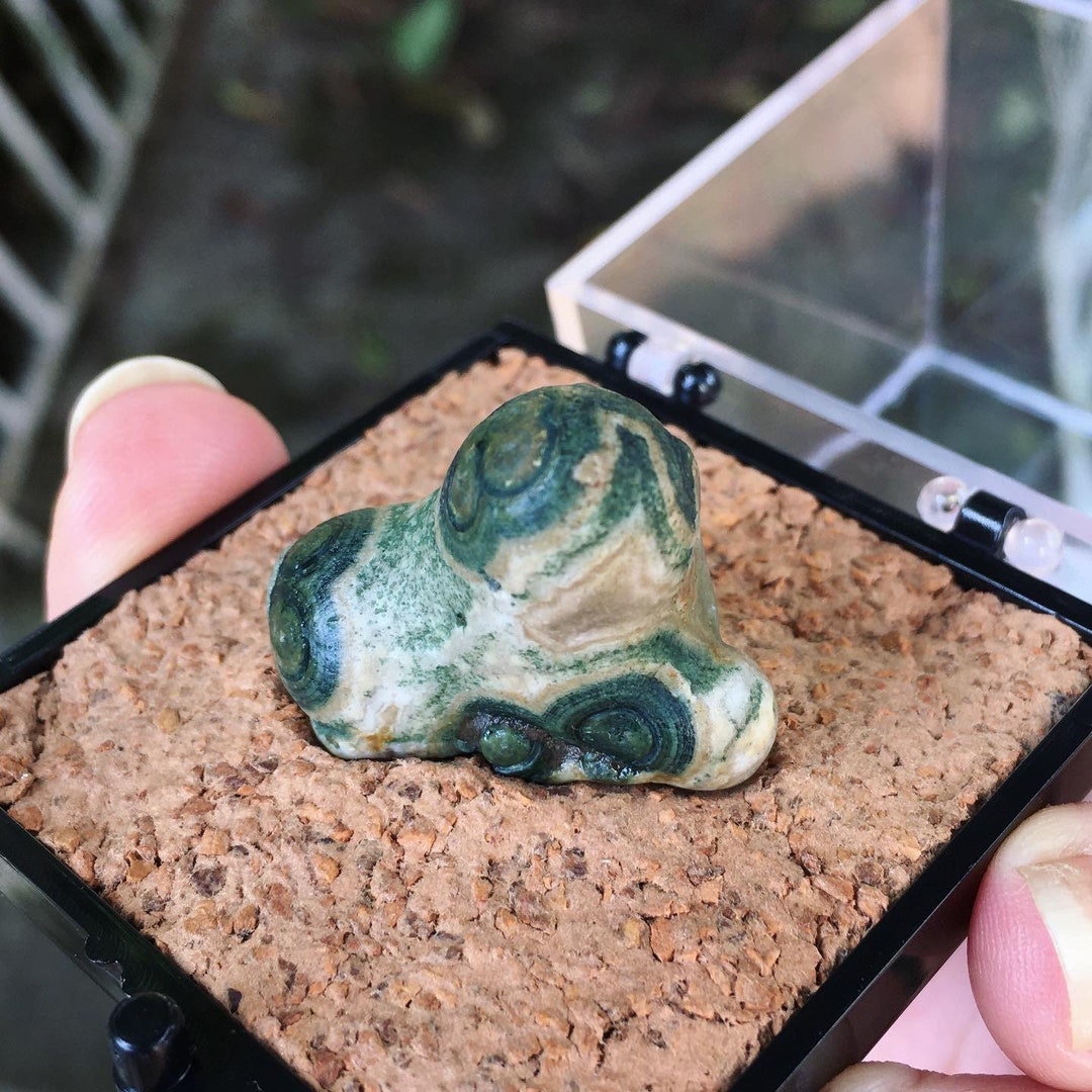 Green Gobi Agate Eye Frog _ Gobi Desert Rough Stone _ Little Mineral ...
