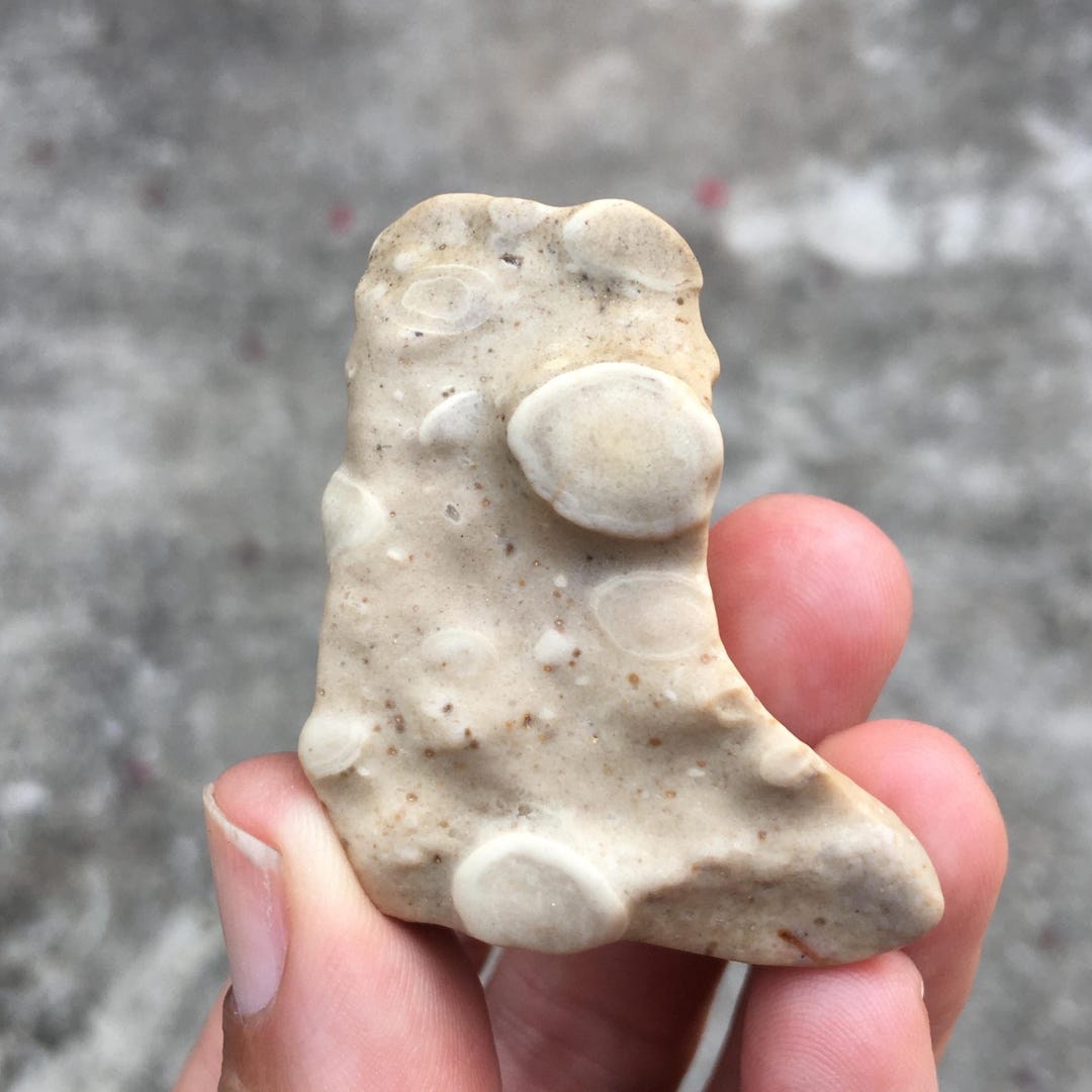 Rare Old Type _ Gobi Mudstone _ Gobi Desert Rough Stone AB - Etsy